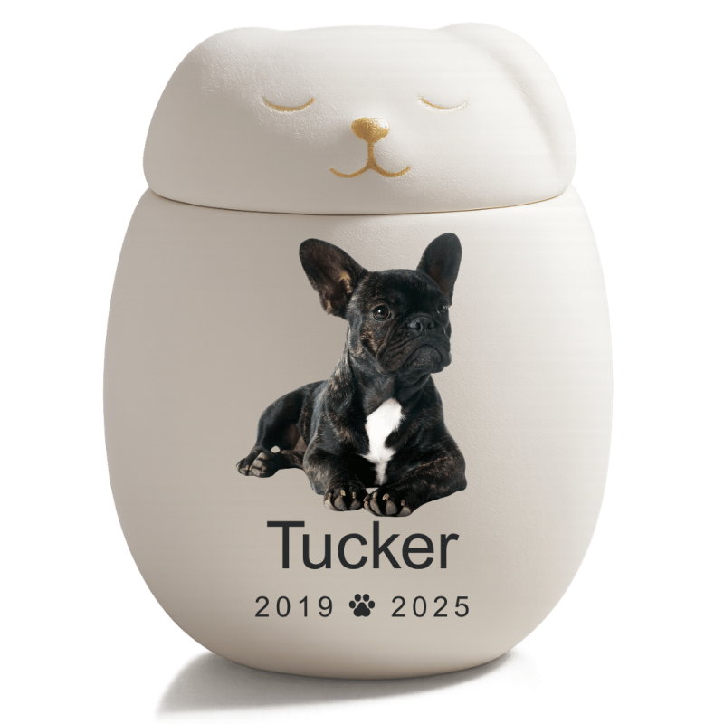 Personalised Ceramic Dog Urn with Photo & Pet Lid