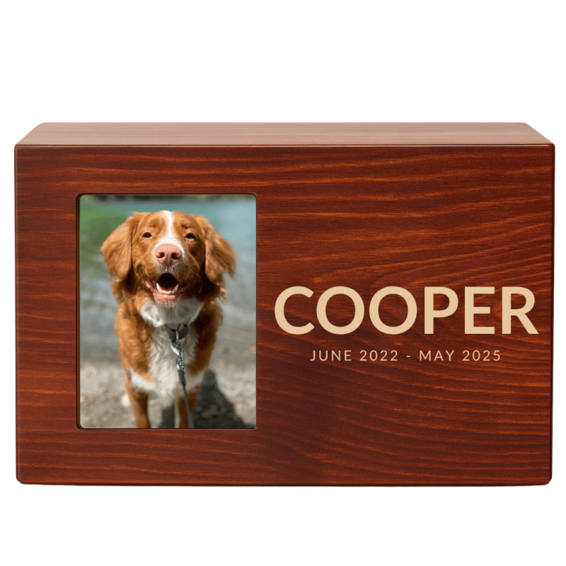 Wooden Dog Urn Box with Photo, Name & Dates in Black or Brown Color